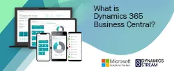 Empower your business efficiency with Microsoft Dynamics 365 Business ...